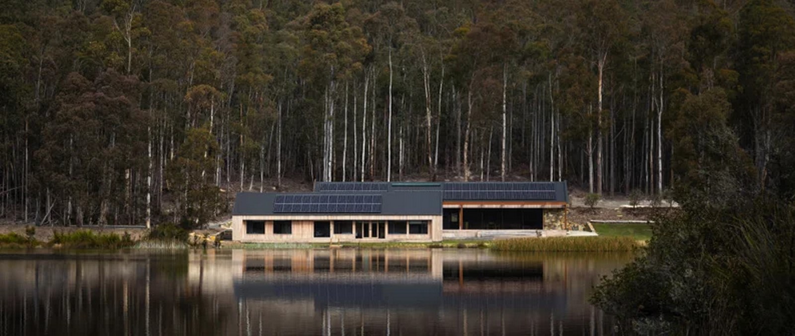 Crafting Sustainable Spaces with Biotope Architecture and Interiors ...