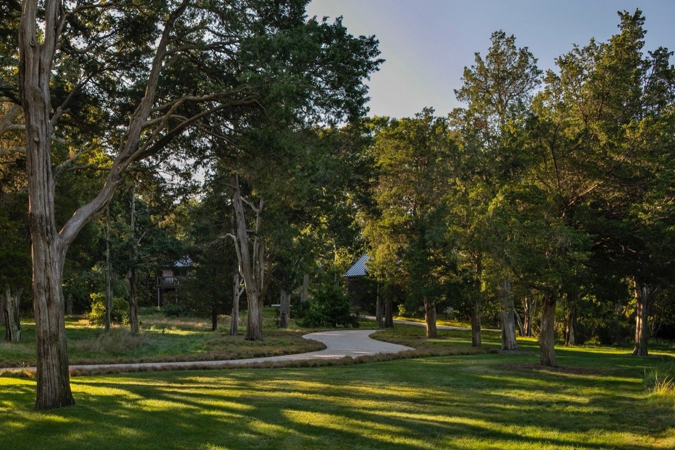 Preserving Natural Elements: Cedar Crest Landscape Design - Nomad ...