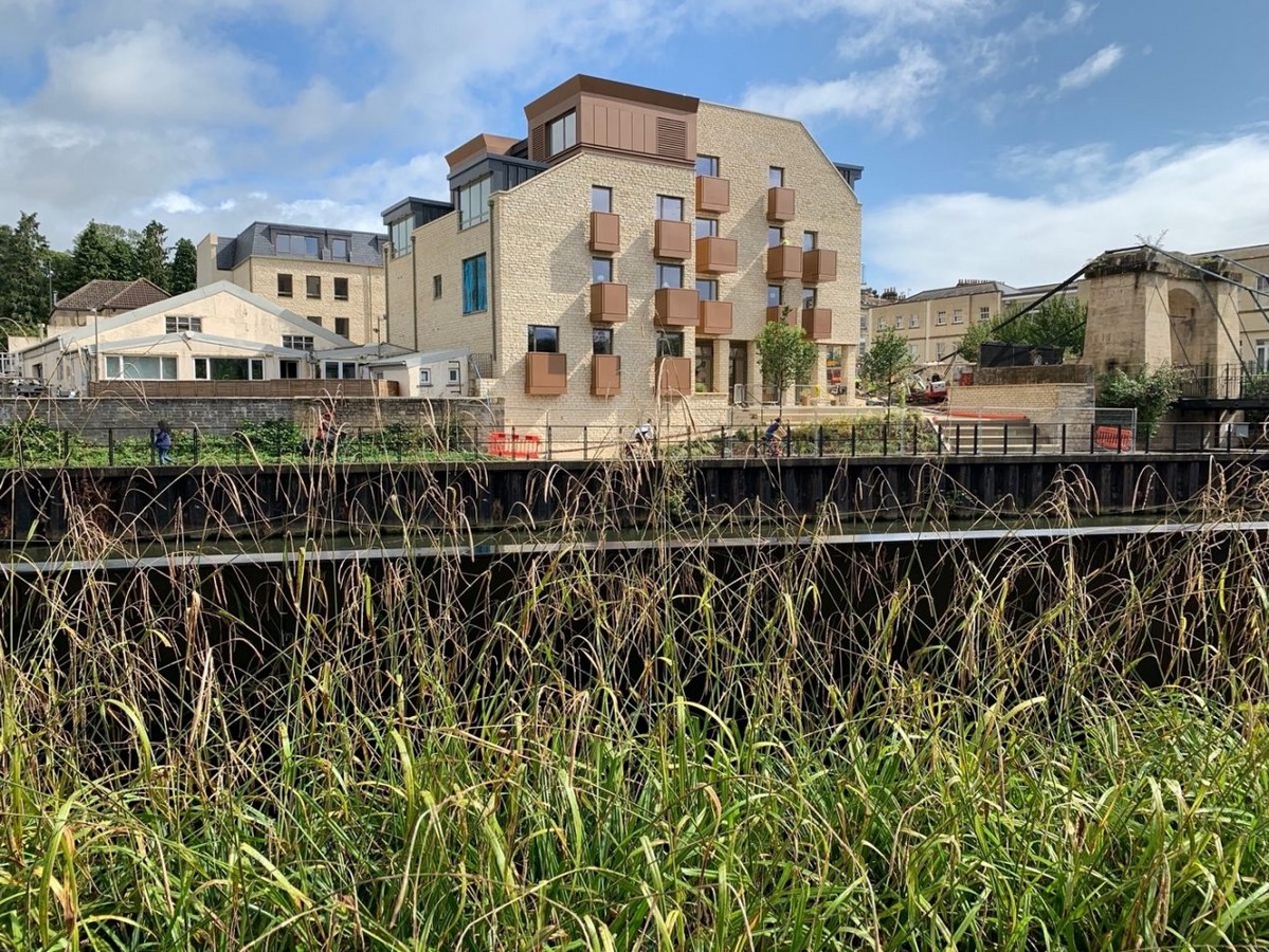 Revitalizing Riverside Court: A Landscape Transformation - Nomad ...